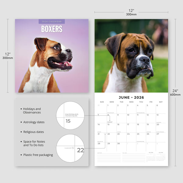 Red Robin 2026 Boxers Monthly Wall Calendar | 12" x 24" Open | Premium ...