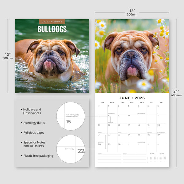 Red Robin 2026 Bulldogs Monthly Wall Calendar | 12" x 24" Open | Premi ...