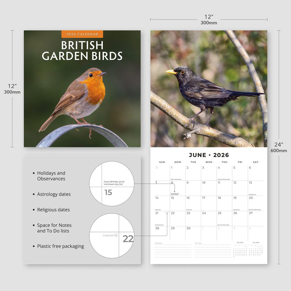 Red Robin 2026 British Garden Birds Monthly Wall Calendar | 12" x 24 ...